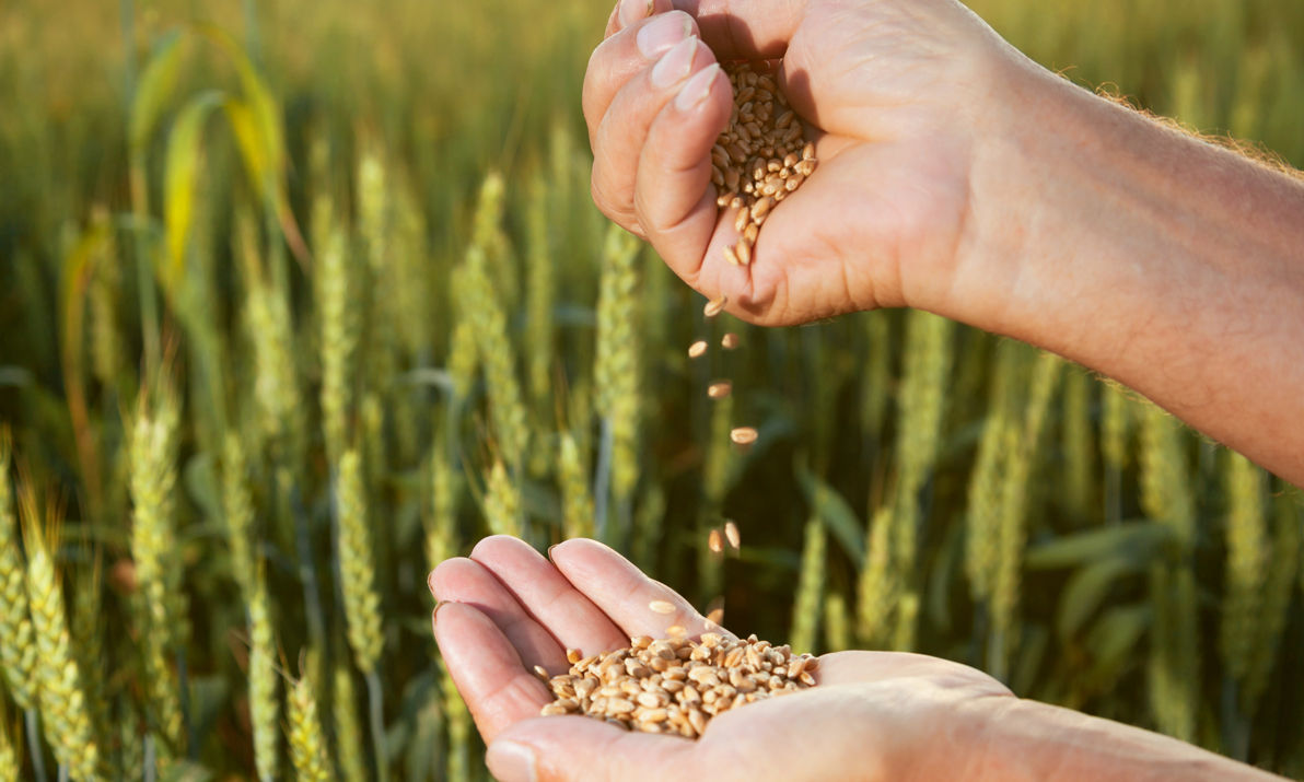 Biosem - Rodbun Grup București